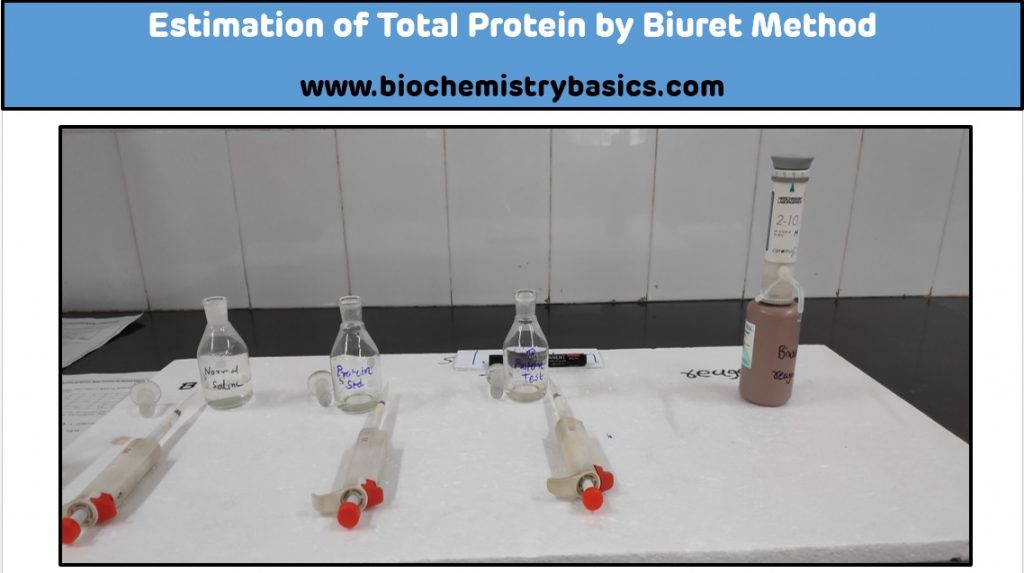 Estimation of Total Protein by Biuret Method – Biochemistry Basics by ...